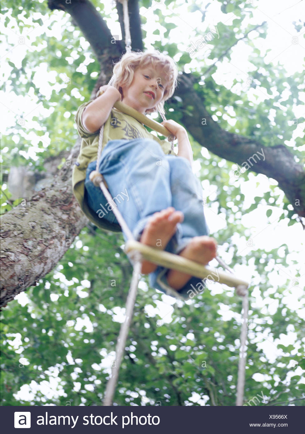 Page 2 - Boy Climbing Tree Barefoot High Resolution Stock Photography ...