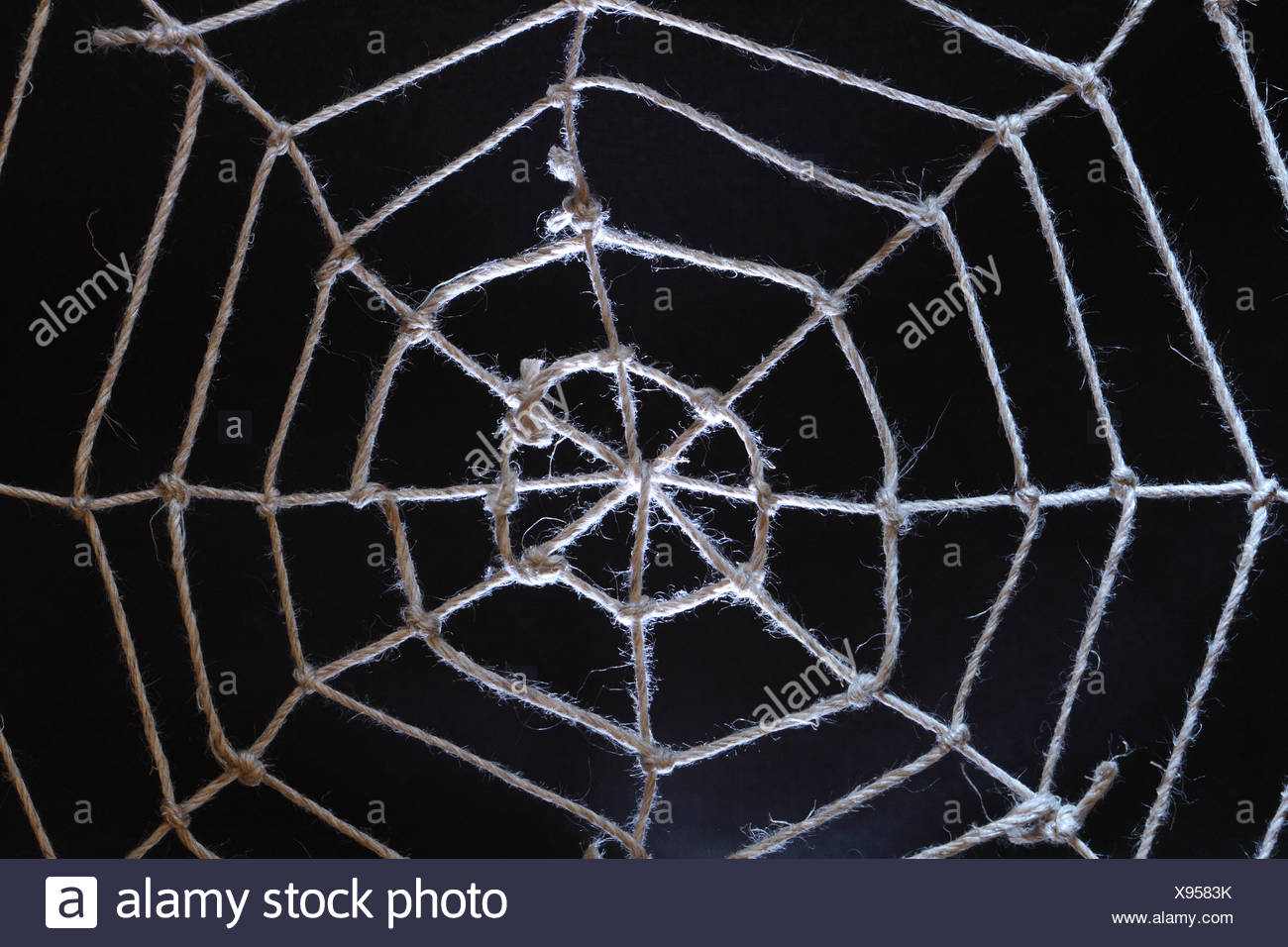 Spider String Stock Photos & Spider String Stock Images - Alamy