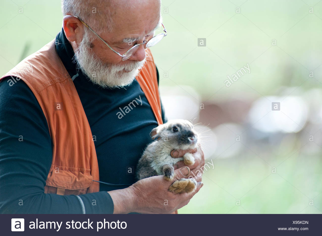 Japanese Old Man Stock Photos & Japanese Old Man Stock Images - Alamy