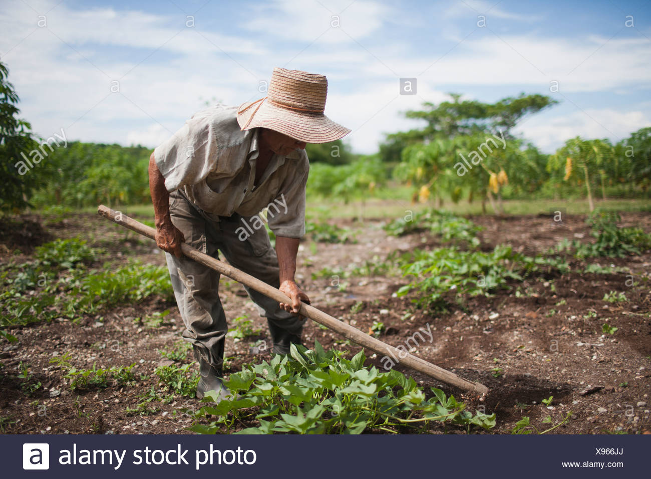 Peasant Digging High Resolution Stock Photography and Images - Alamy