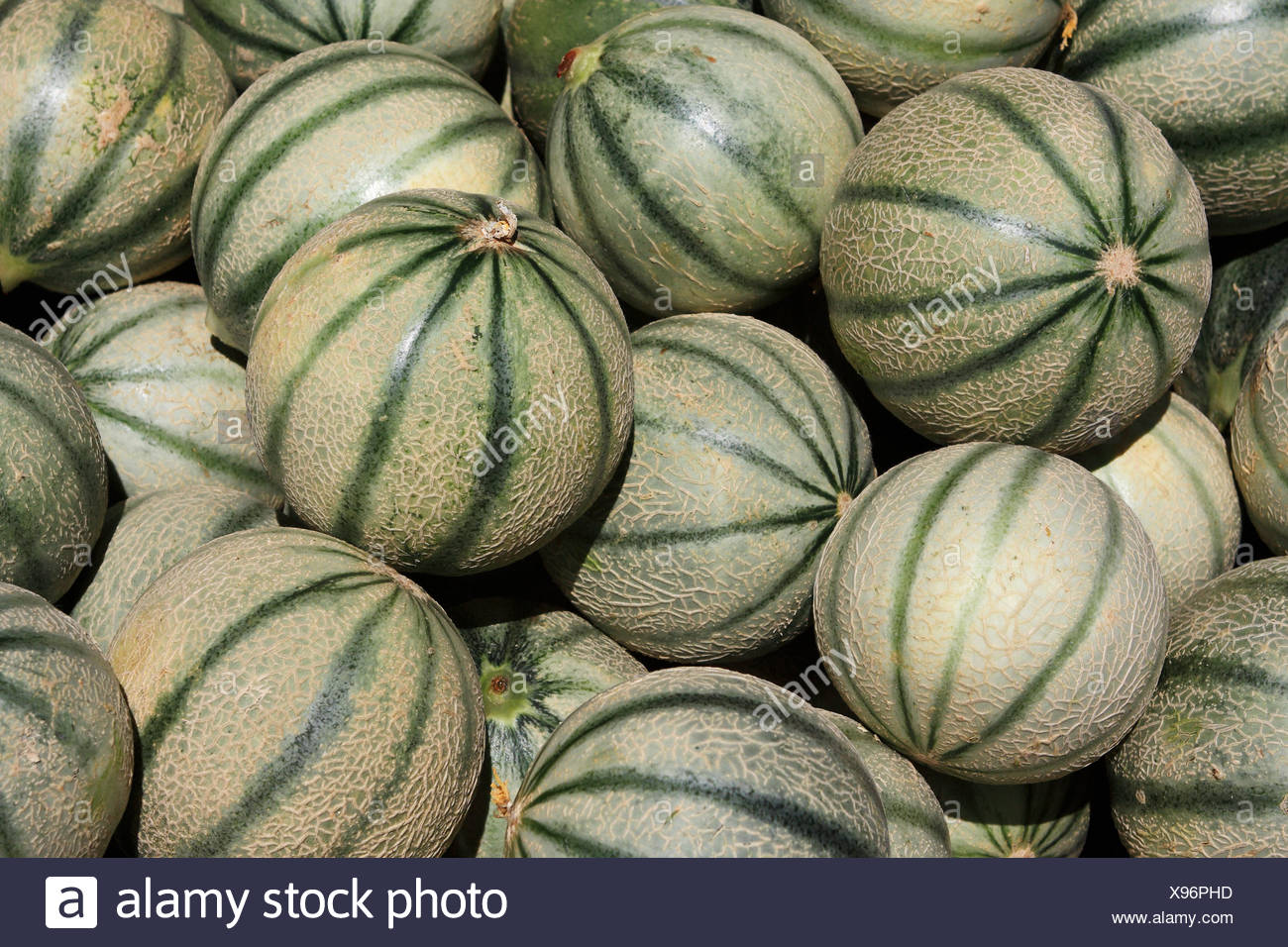 Mature Melons Stock Photos & Mature Melons Stock Images - Alamy
