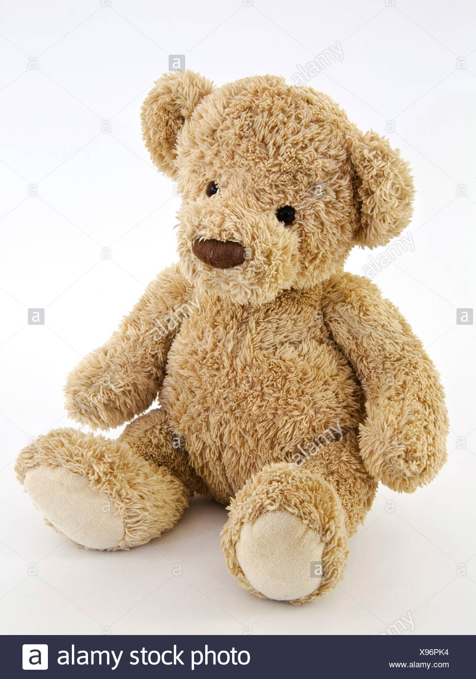Teddy Bear Stock Photos & Teddy Bear Stock Images - Alamy
