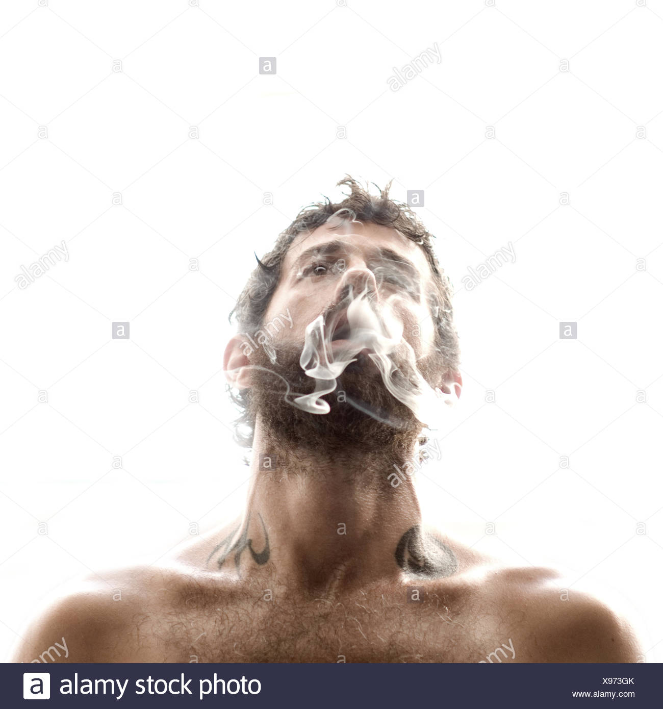 White Hair Man Back Of Head High Resolution Stock Photography and ...