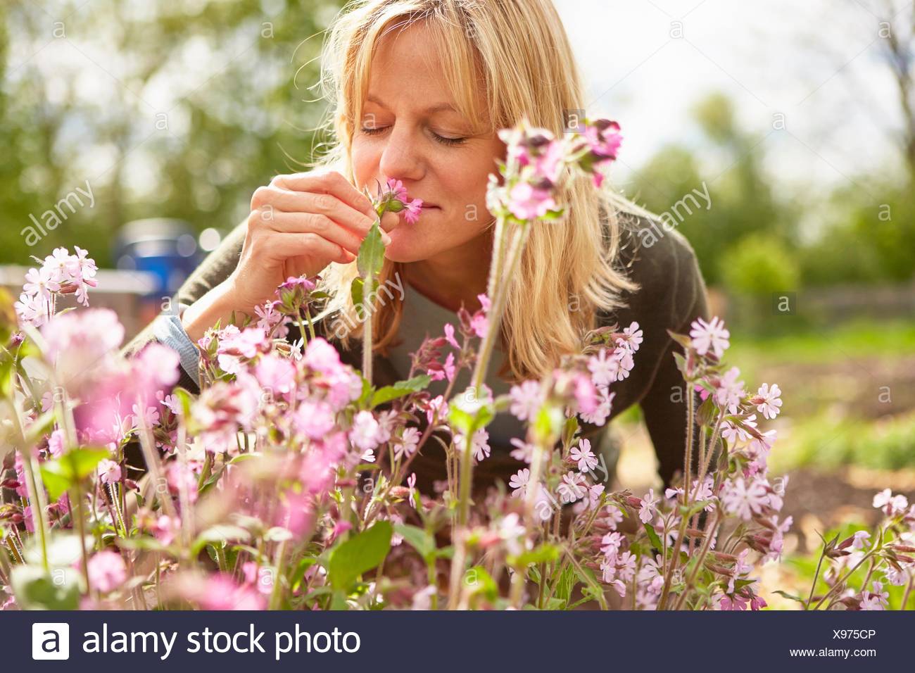 Woman Getting Flowers High Resolution Stock Photography and Images - Alamy