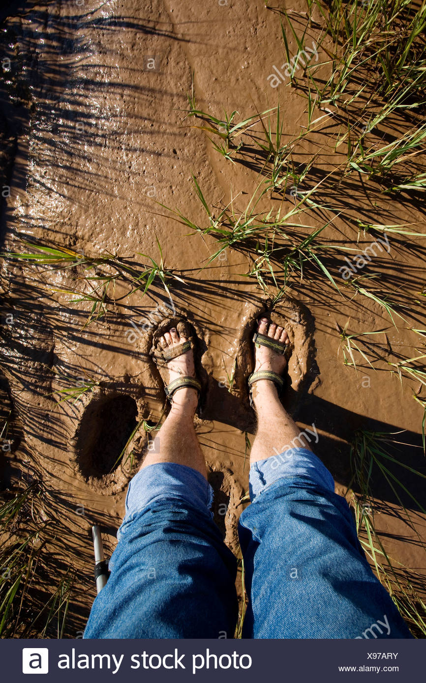 Muddy Feet High Resolution Stock Photography and Images - Alamy