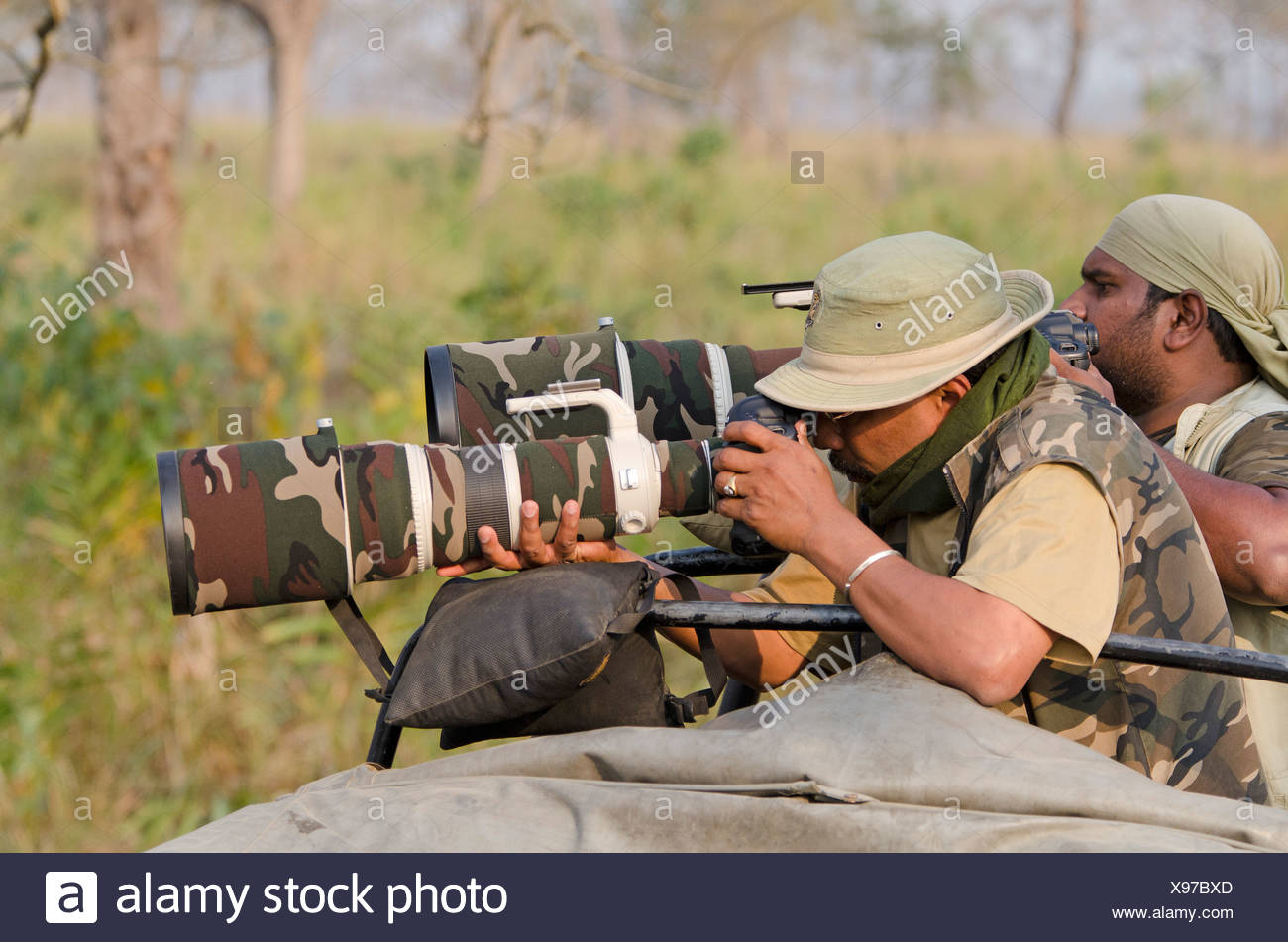 Wildlife Of Assam High Resolution Stock Photography and Images - Alamy