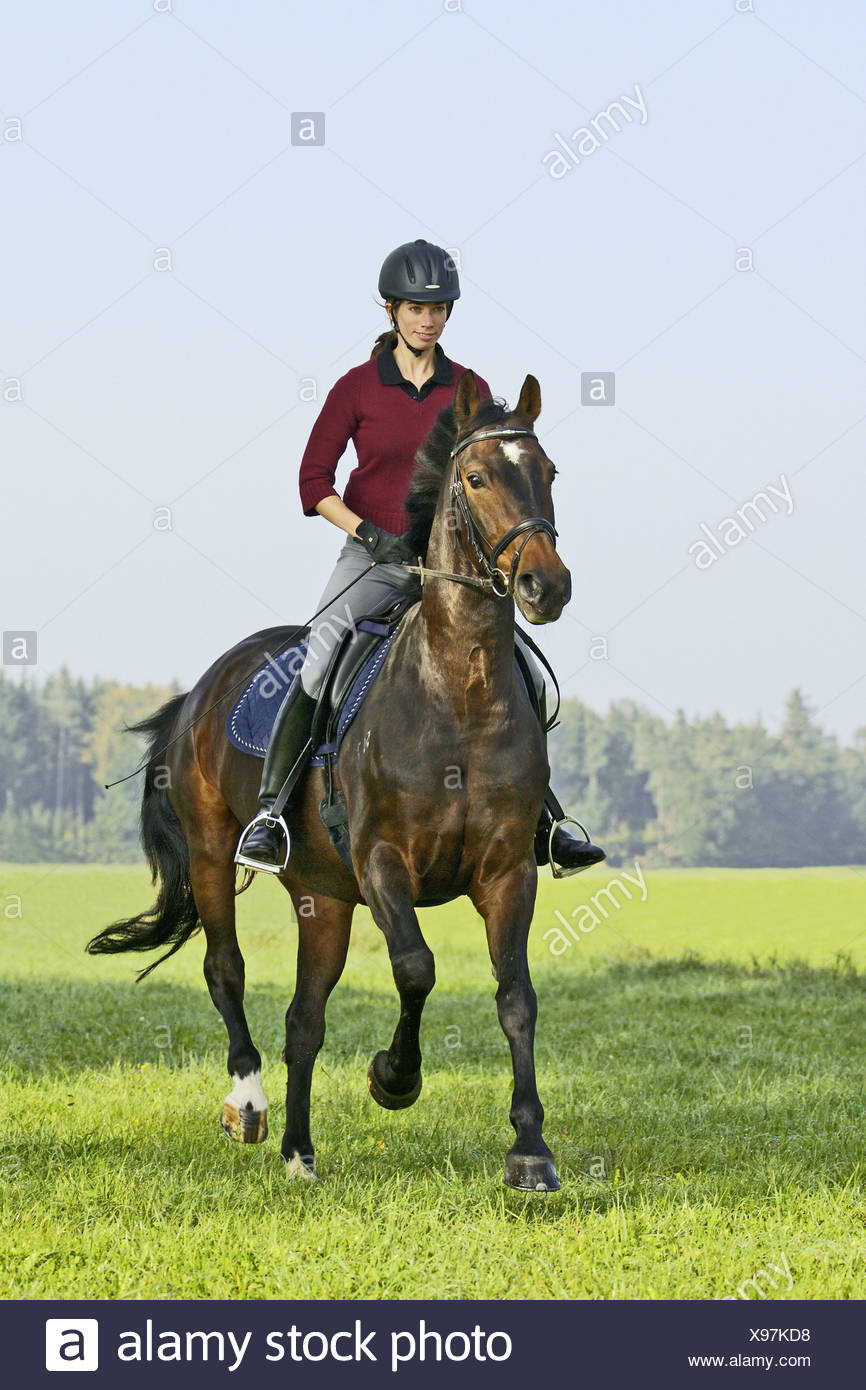 Lady Horse Rider High Resolution Stock Photography and Images - Alamy