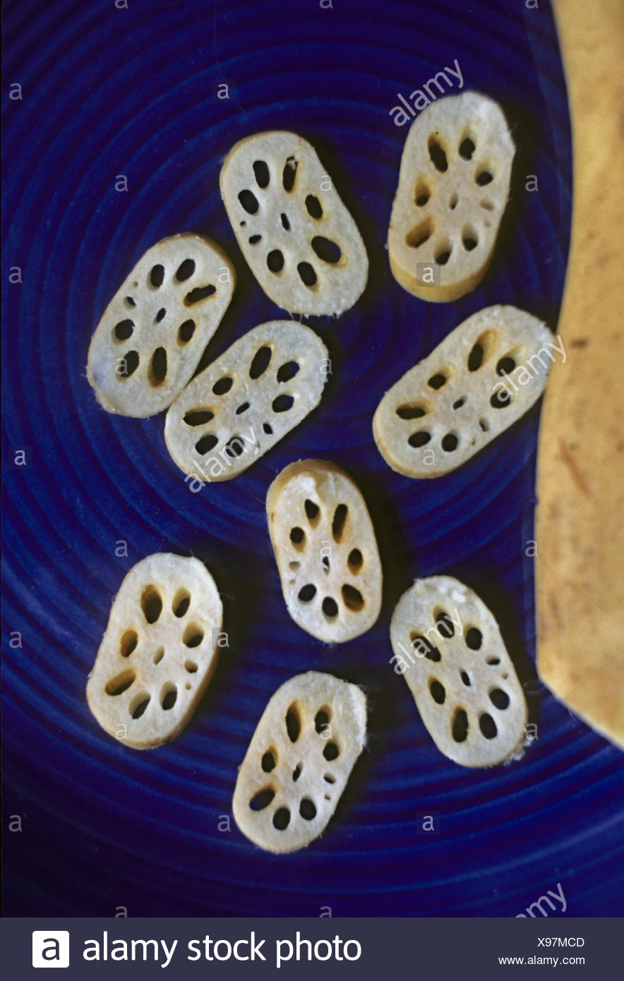 Lotus Stalk High Resolution Stock Photography and Images - Alamy