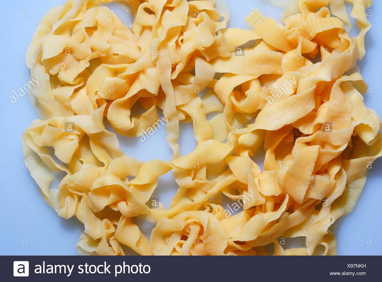 Beef Tapeworm Taenia Saginata High Resolution Stock Photography and ...