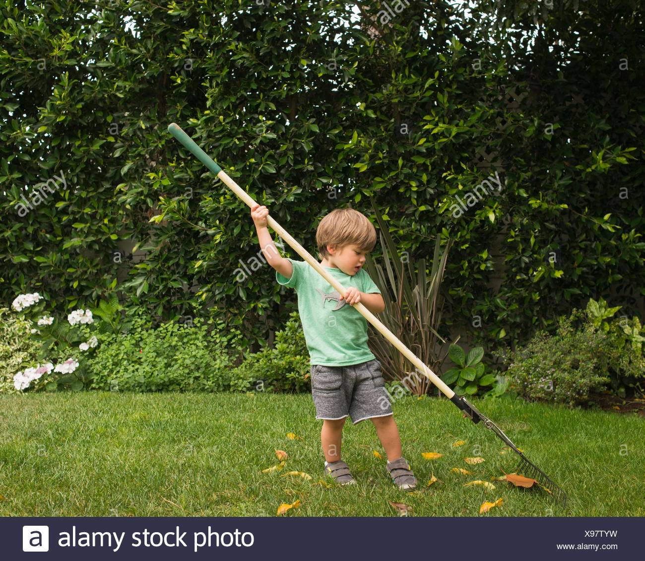 Child Raking Leaves High Resolution Stock Photography and Images - Alamy