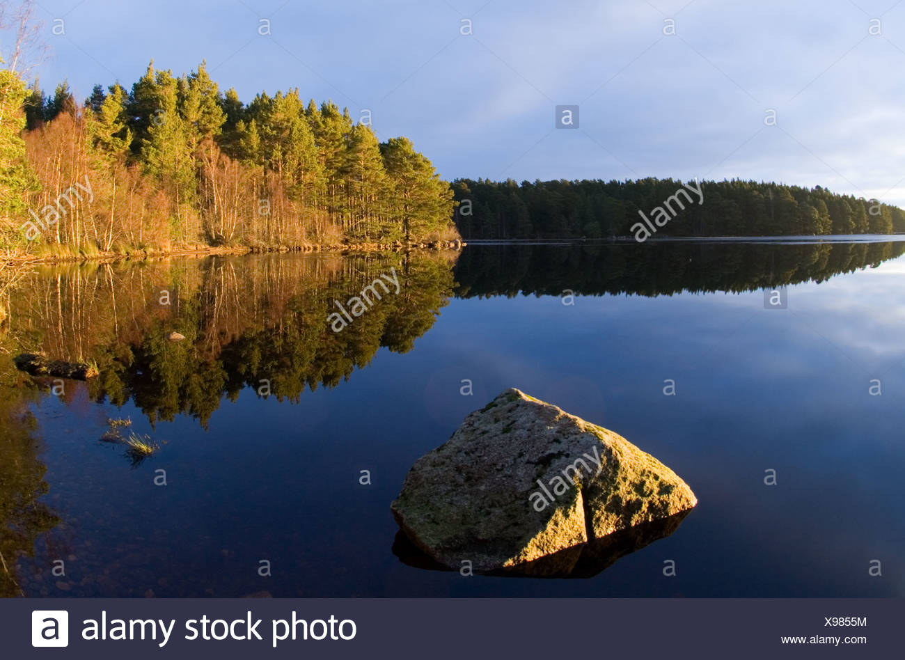 Abernethy Scotland High Resolution Stock Photography and Images - Alamy