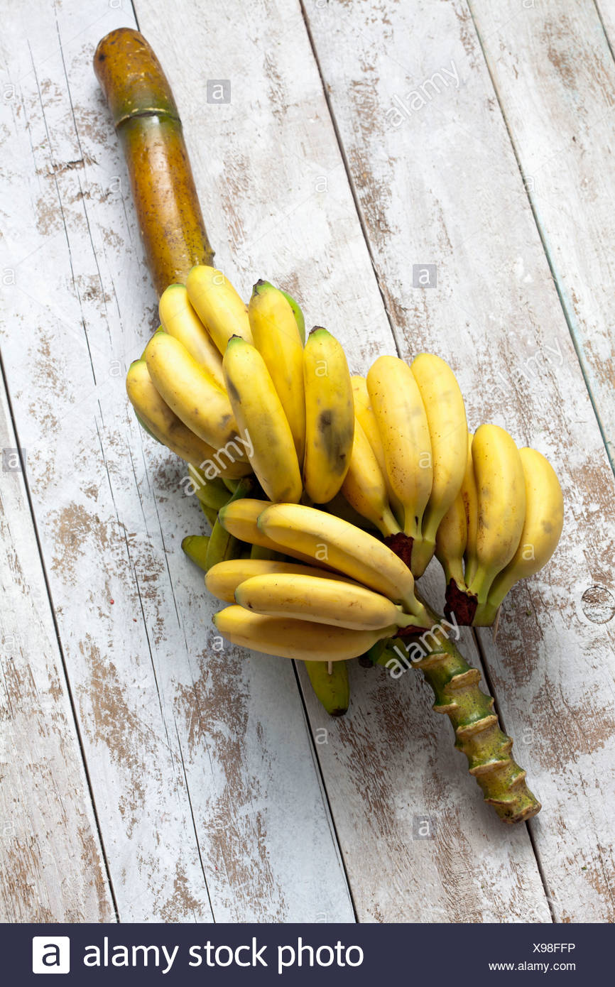 Banana Tree Musa Paradisiaca High Resolution Stock Photography and ...