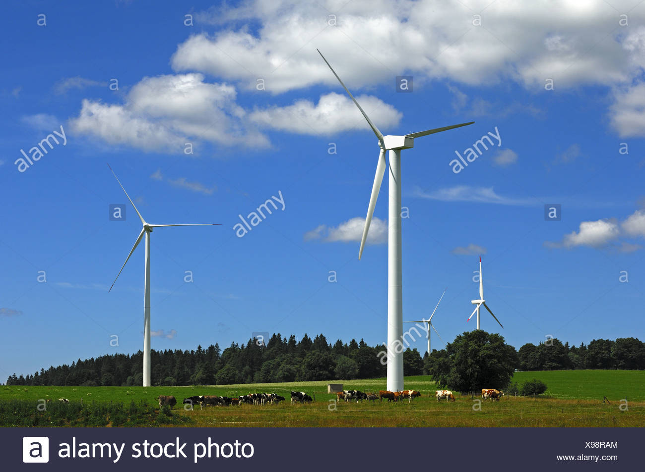 Wind Turbine Cattle High Resolution Stock Photography and Images - Alamy