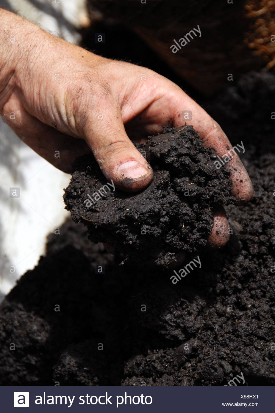 Black Soil High Resolution Stock Photography and Images - Alamy