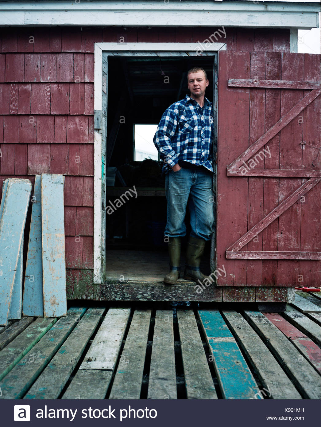 Newfoundland Cod High Resolution Stock Photography and Images - Alamy
