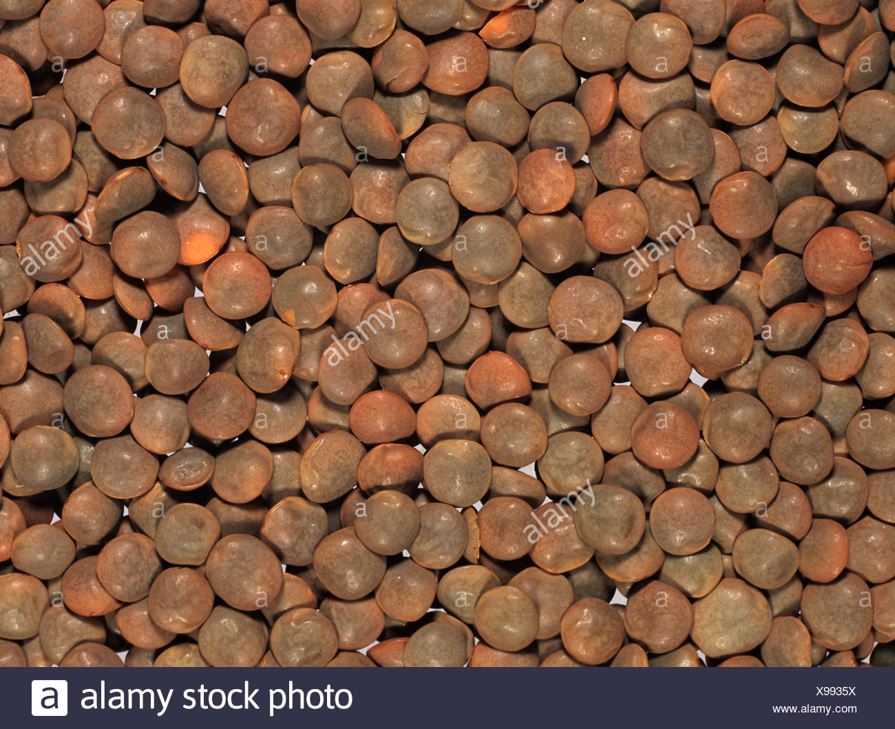 Lentil Crop High Resolution Stock Photography and Images - Alamy