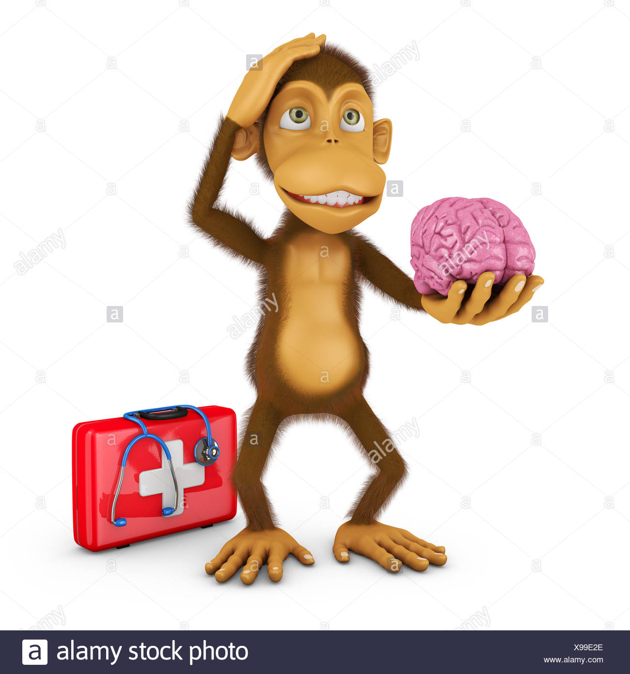 Chimpanzee Brain High Resolution Stock Photography and Images - Alamy