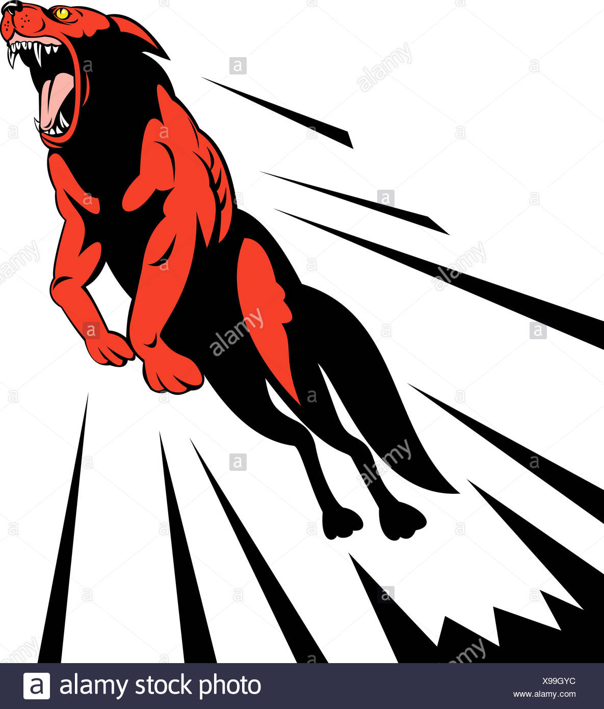 Wolf Jumping High Resolution Stock Photography and Images - Alamy