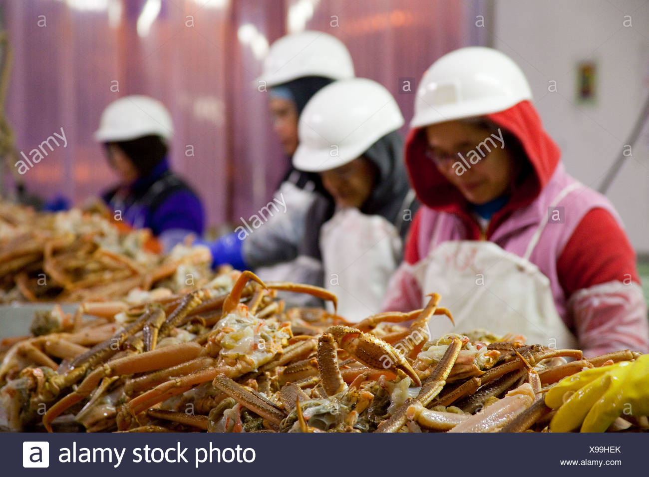 Cannery Worker High Resolution Stock Photography and Images - Alamy