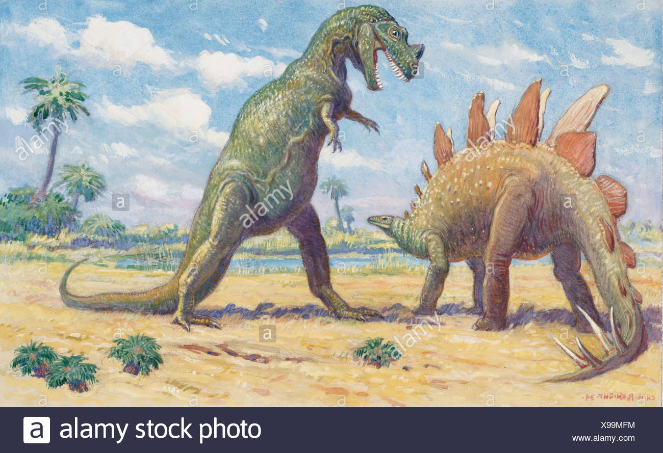 Stegosaurus Stock Photos & Stegosaurus Stock Images - Alamy
