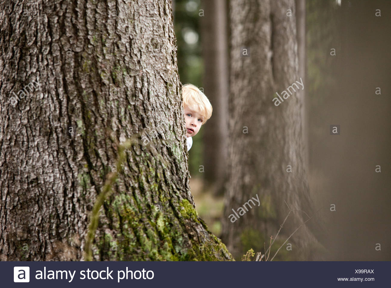 Cute Boy Hiding Behind Tree High Resolution Stock Photography and ...
