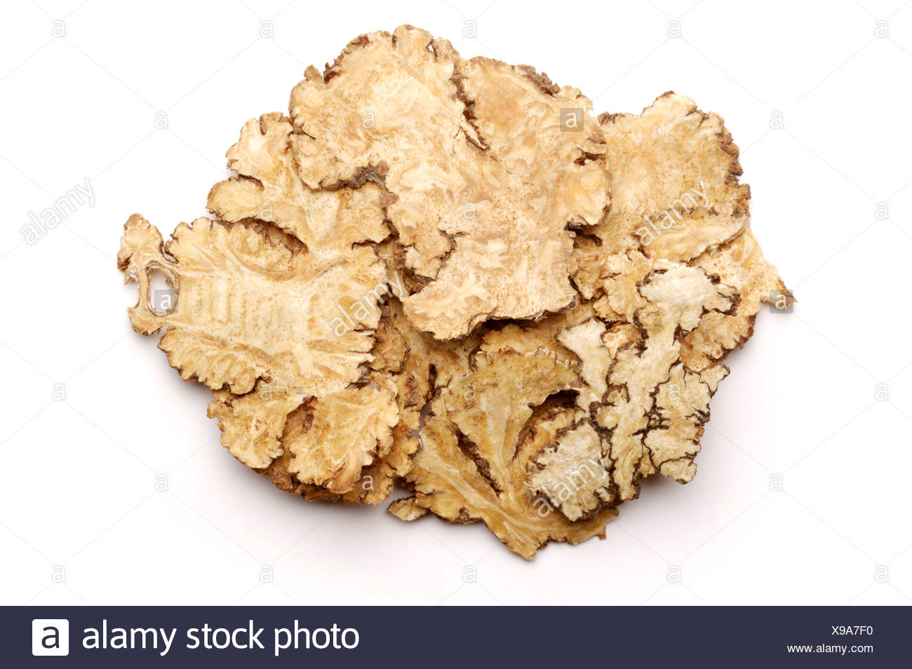 Lovage Root High Resolution Stock Photography and Images - Alamy