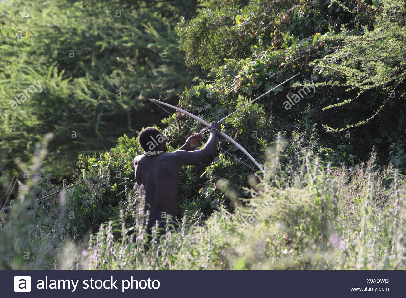 Member Tribe Hunting Bow Arrow High Resolution Stock Photography and ...