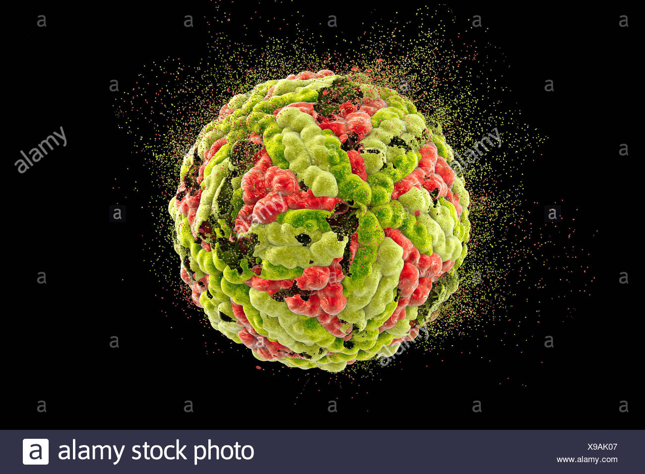 Molecular Model Interferon Gamma High Resolution Stock Photography and ...