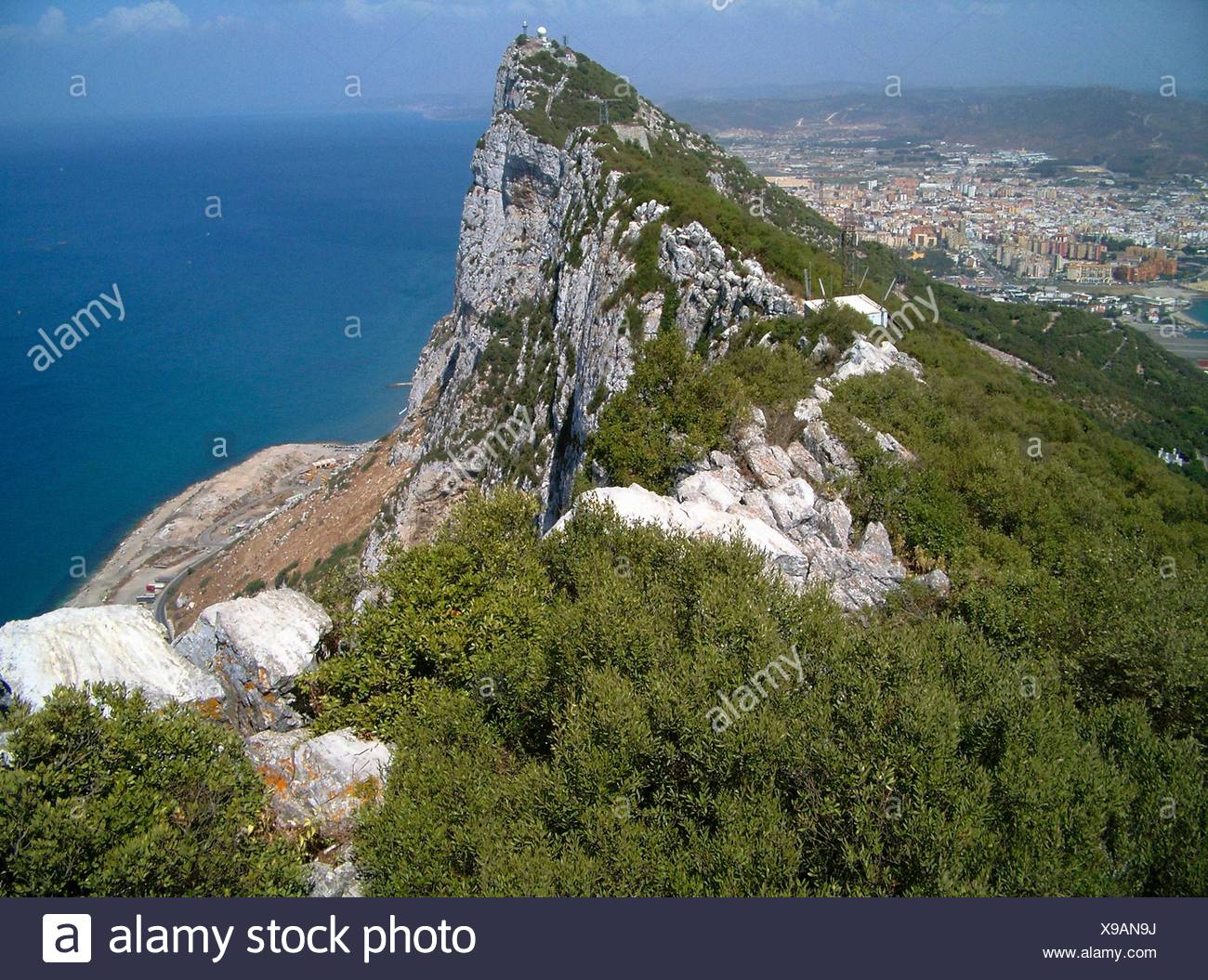Gibraltar Nature Reserve Stock Photos & Gibraltar Nature Reserve Stock ...