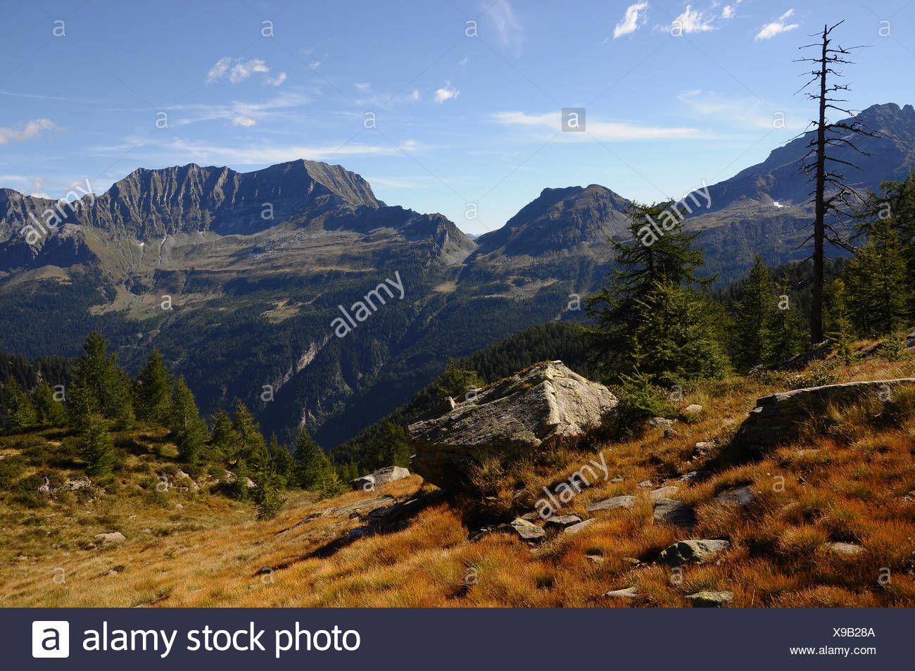 Calanca Valley High Resolution Stock Photography and Images - Alamy