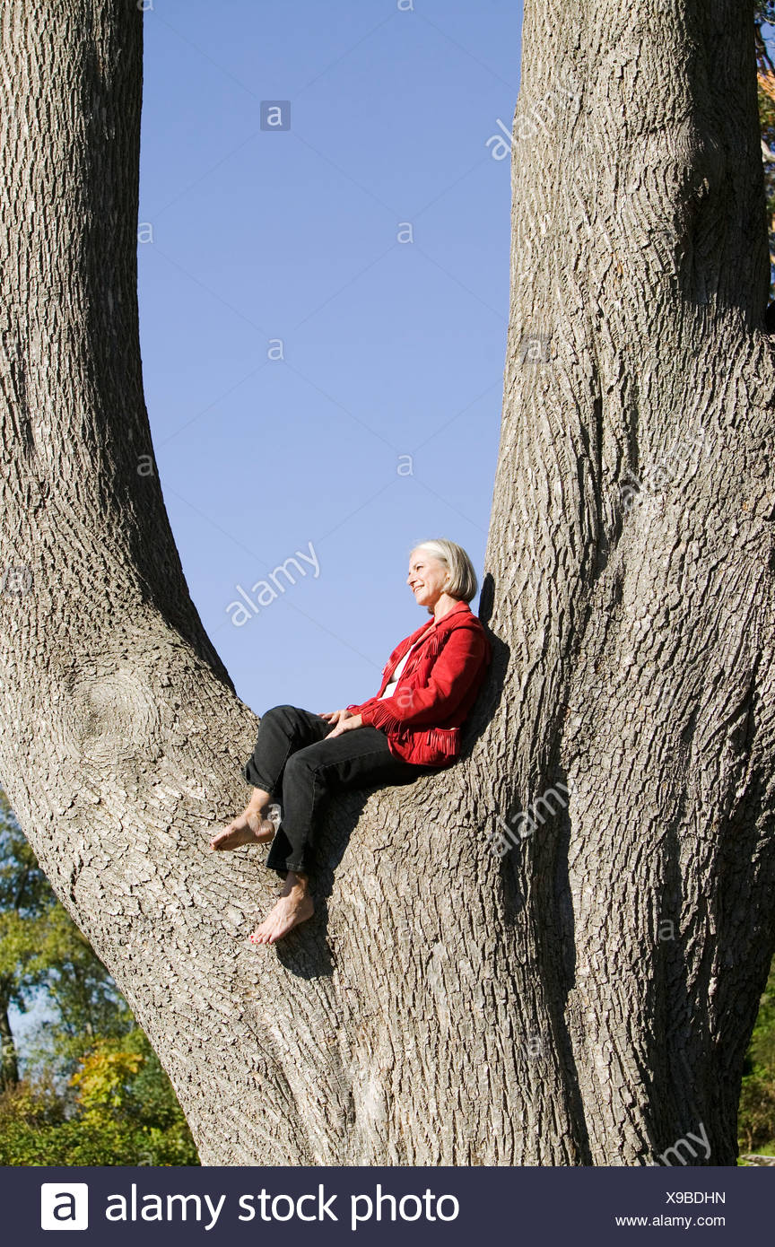 Crook Of Branches High Resolution Stock Photography and Images - Alamy