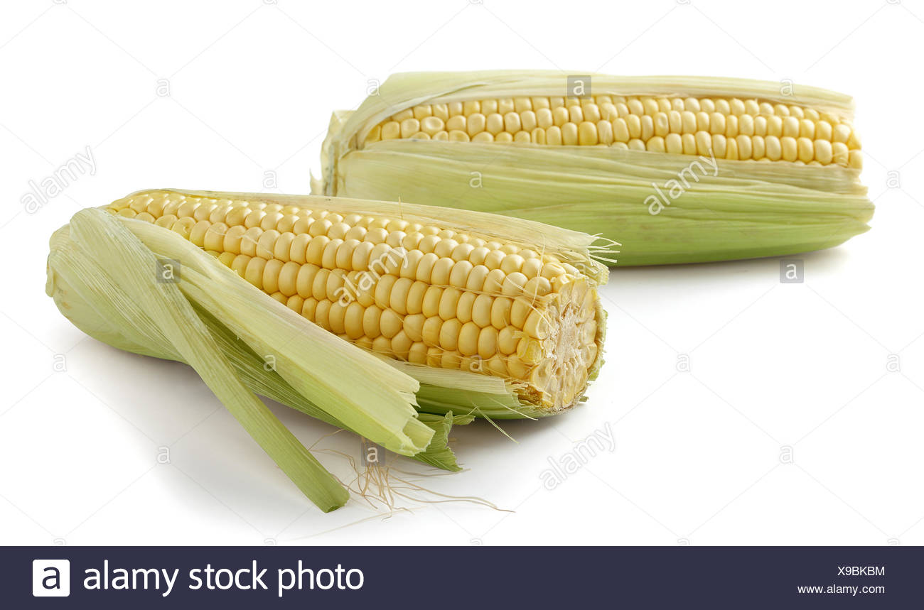Corncobs High Resolution Stock Photography and Images - Alamy