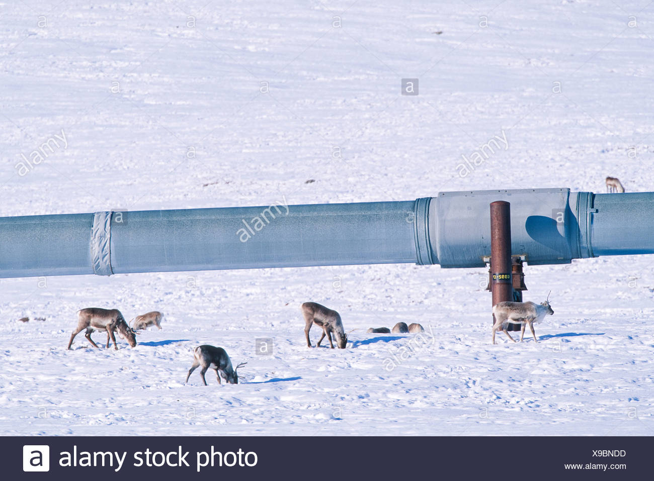 Pipeline Right Of Way Stock Photos & Pipeline Right Of Way Stock Images ...