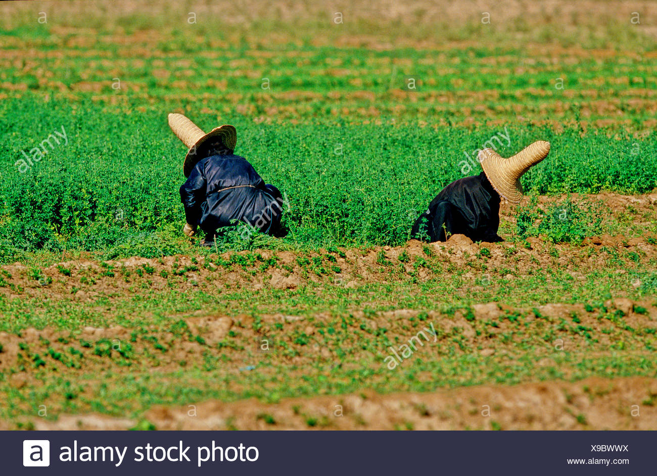 Madhalla Hat High Resolution Stock Photography and Images - Alamy