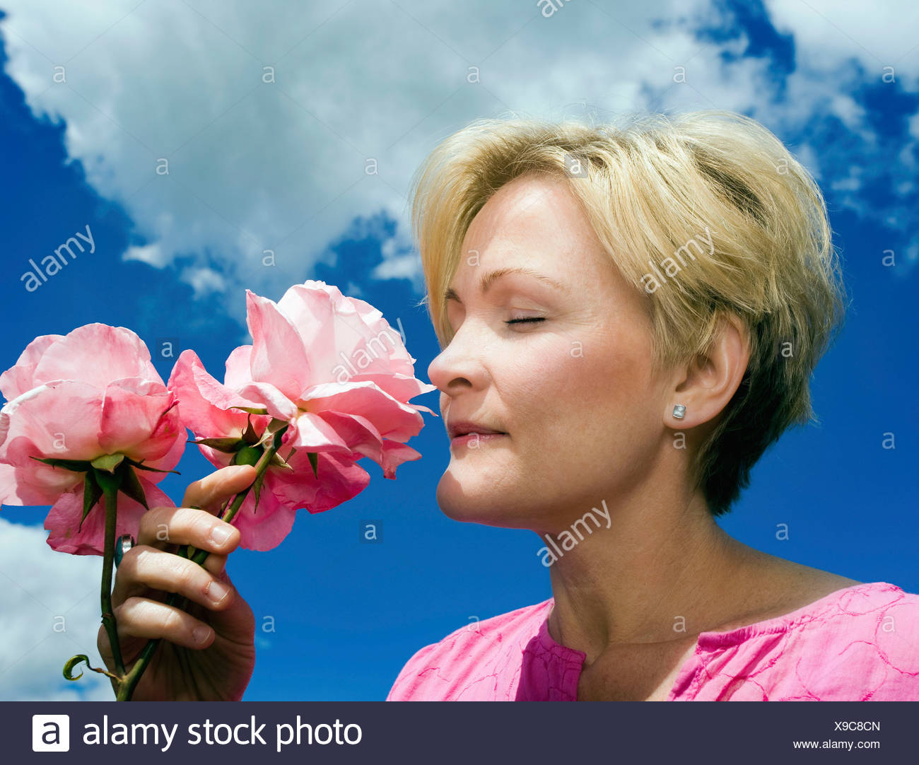 40 Roses High Resolution Stock Photography and Images - Alamy