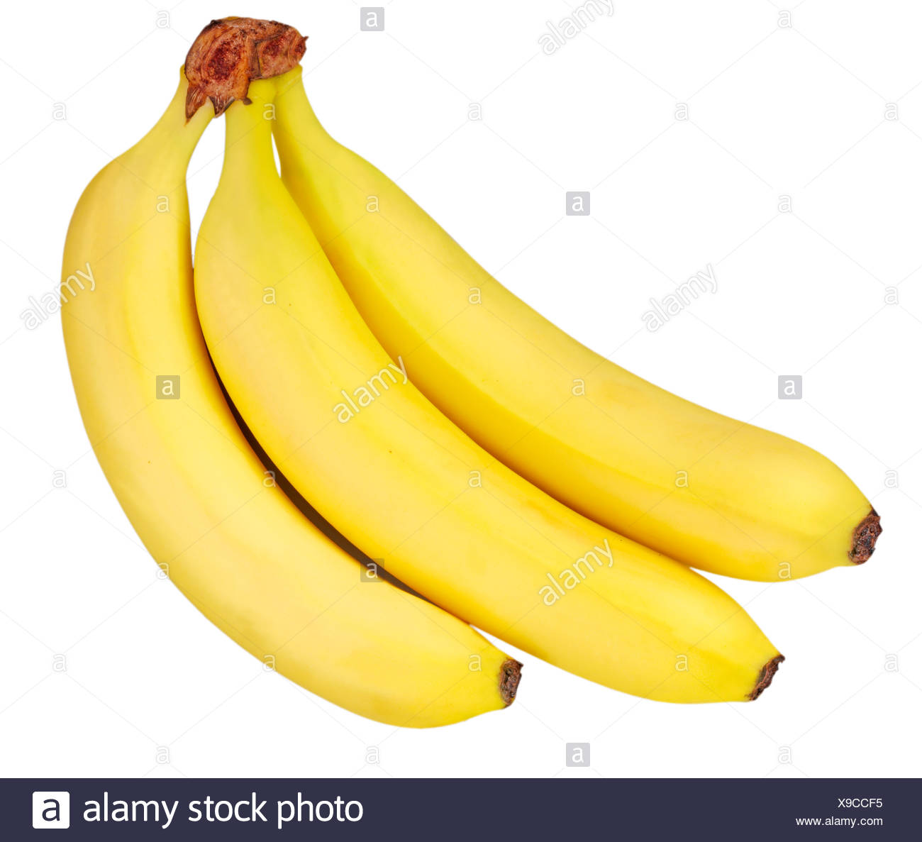 Organic Hon High Resolution Stock Photography and Images - Alamy