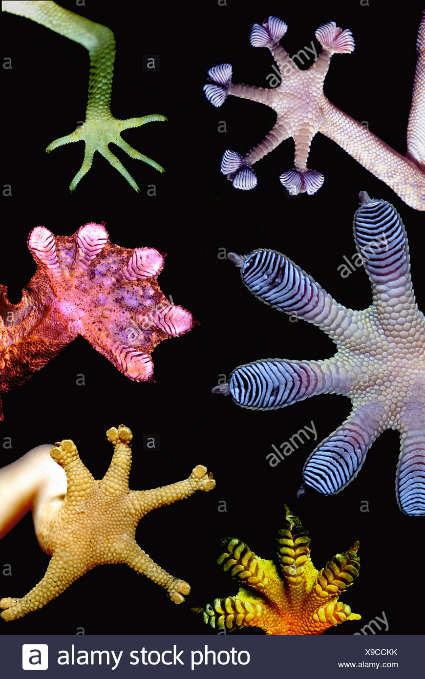 Van Der Waals Forces High Resolution Stock Photography and Images - Alamy