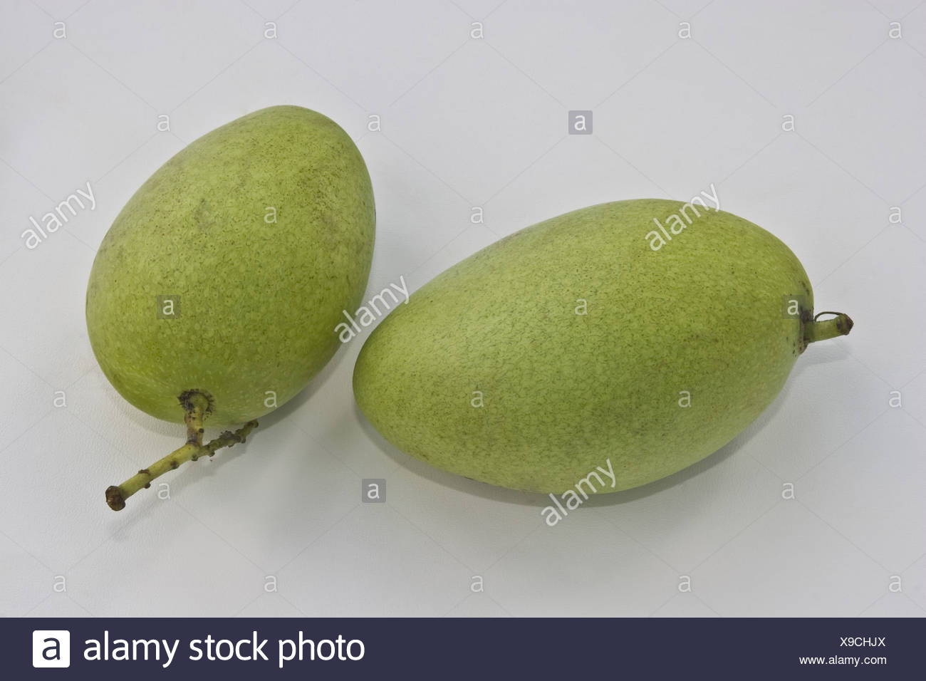 Ambu Stock Photos & Ambu Stock Images - Alamy