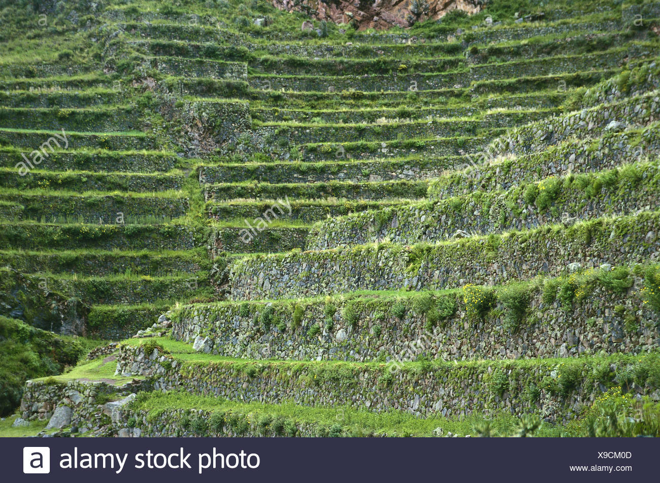 South America Agriculture