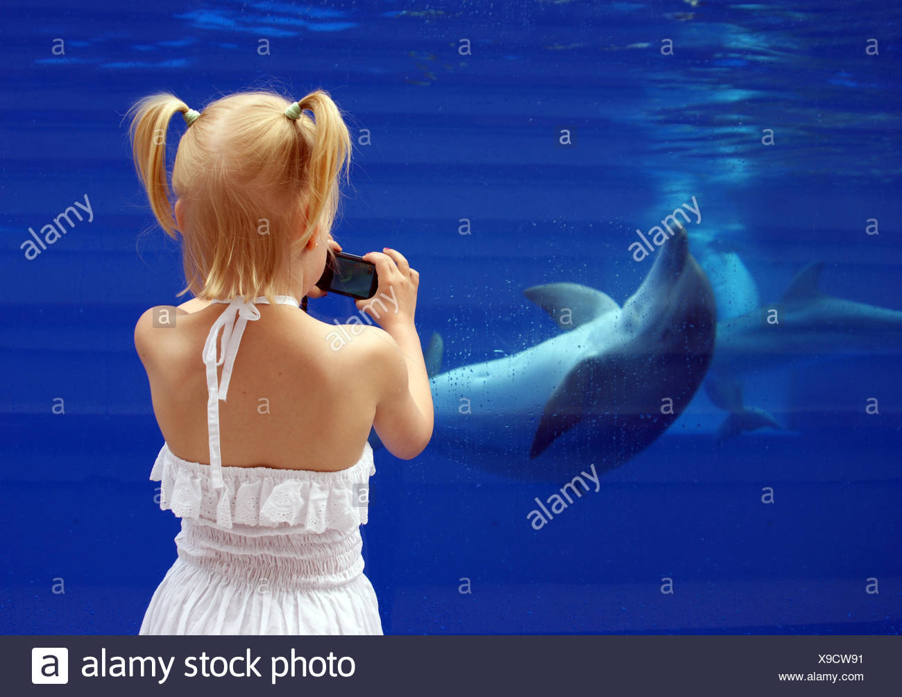 Girl And Dolphin High Resolution Stock Photography and Images - Alamy