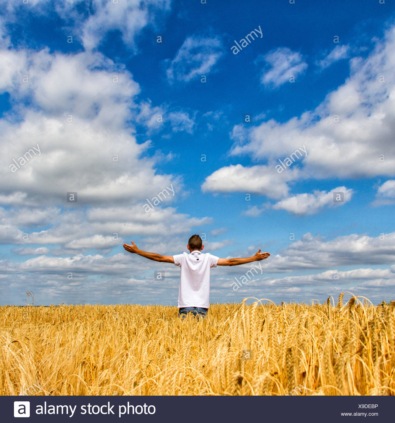 Man Of Arms High Resolution Stock Photography and Images - Alamy