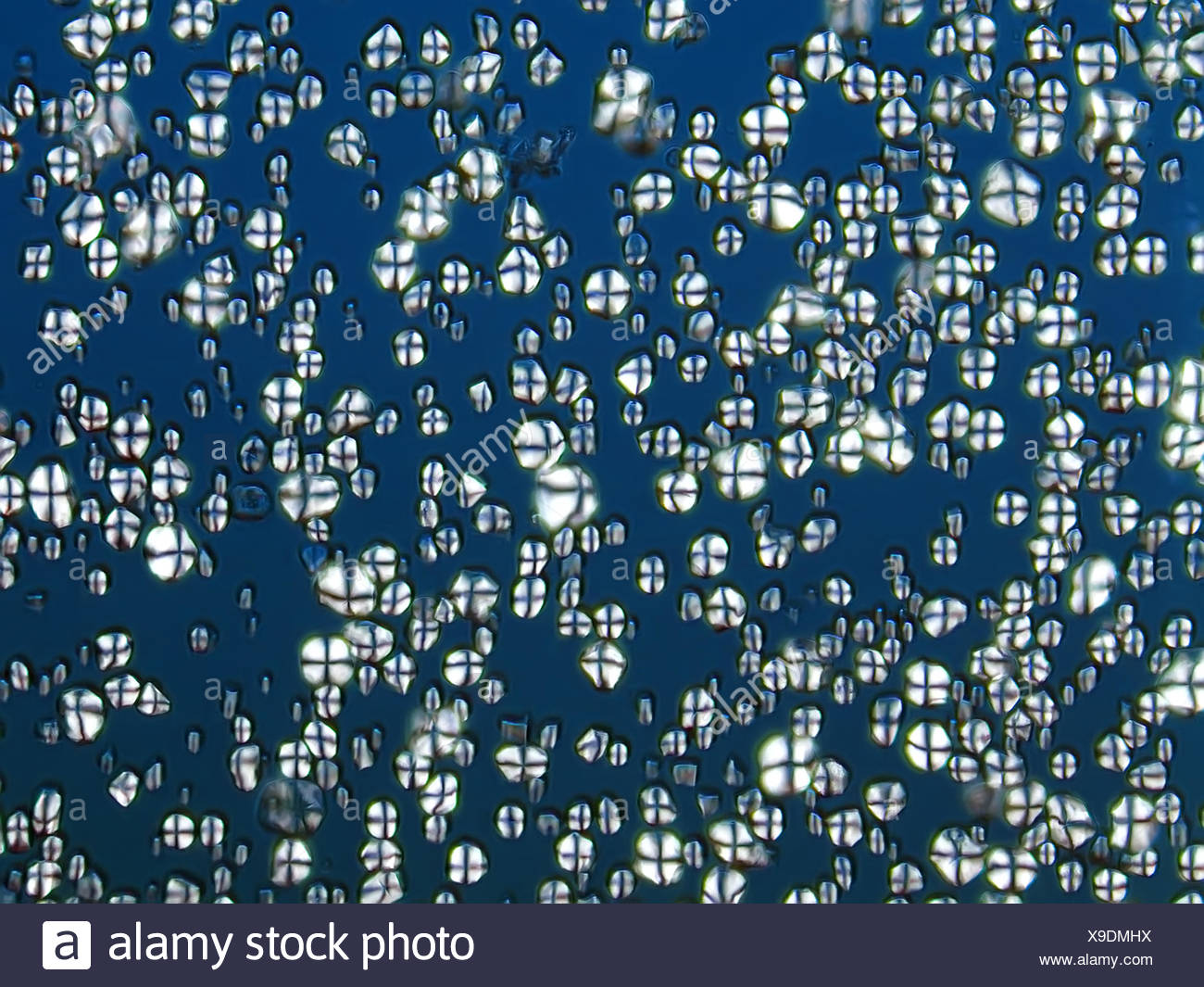 Sugar Microscope High Resolution Stock Photography and Images - Alamy