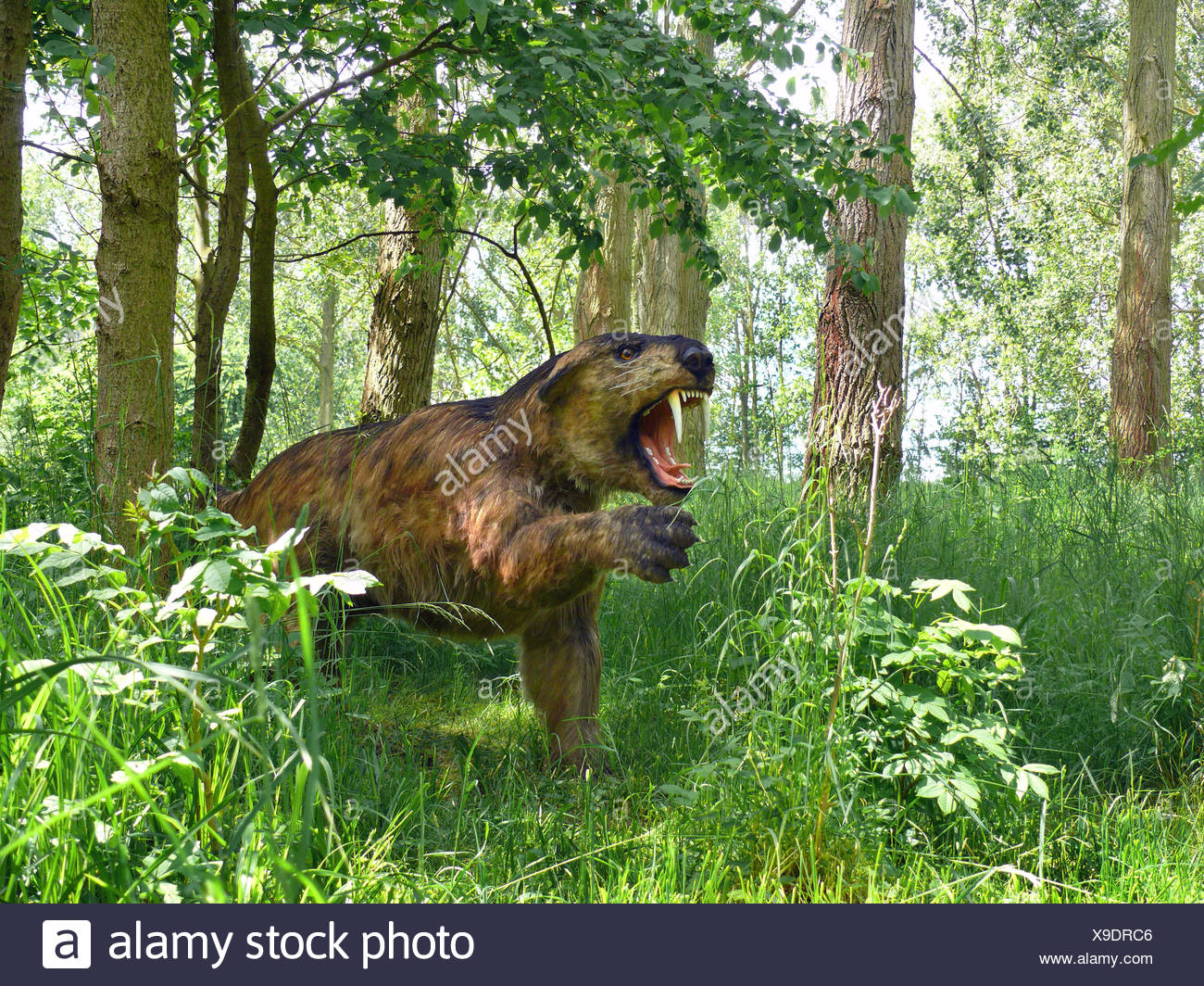 Sabre Toothed Tiger Smilodon Stock Photos & Sabre Toothed Tiger ...