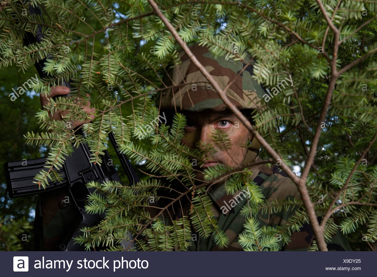 Hiding Behind A Tree High Resolution Stock Photography and Images - Alamy