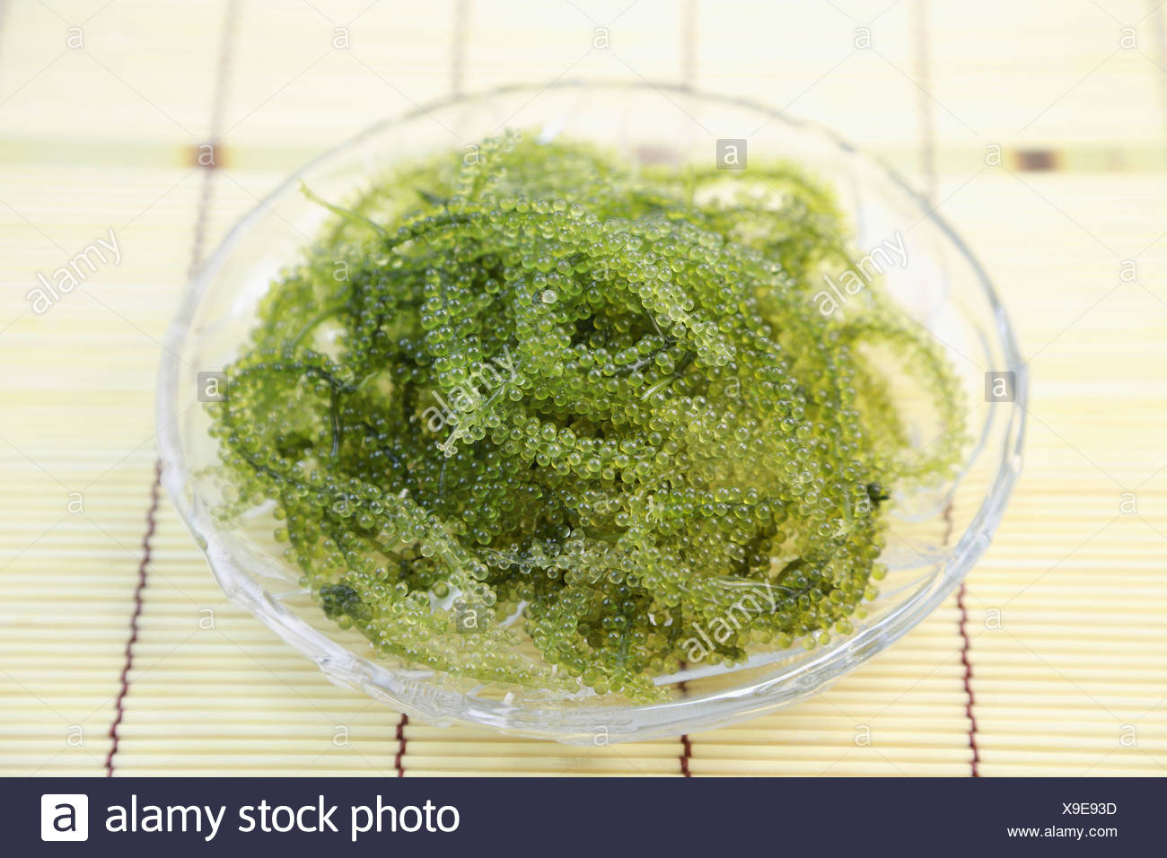 Caulerpa Lentillifera High Resolution Stock Photography and Images - Alamy