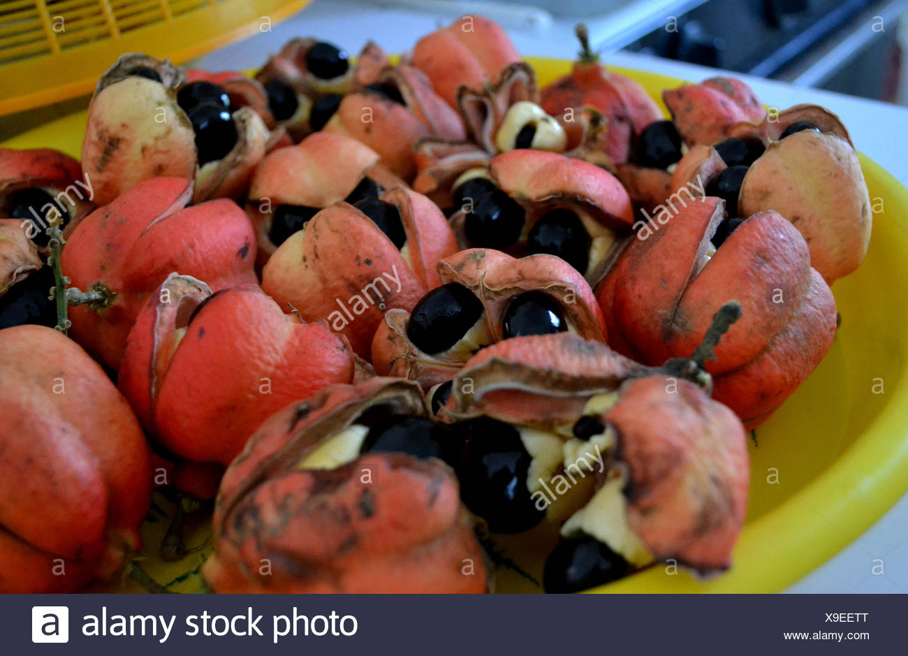 Ackee Fruit High Resolution Stock Photography and Images - Alamy