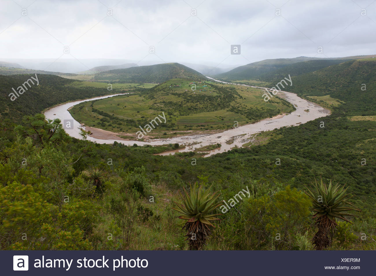 Mvezo Stock Photos & Mvezo Stock Images - Alamy