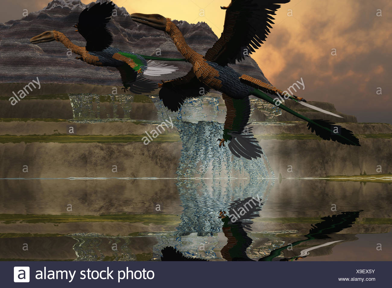 Microraptor Stock Photos & Microraptor Stock Images - Alamy