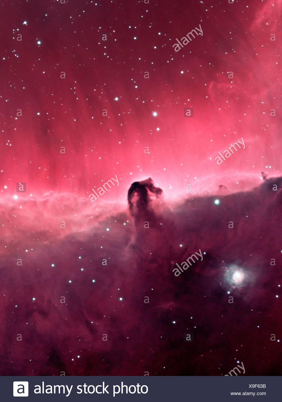 The Horsehead Nebula High Resolution Stock Photography and Images - Alamy