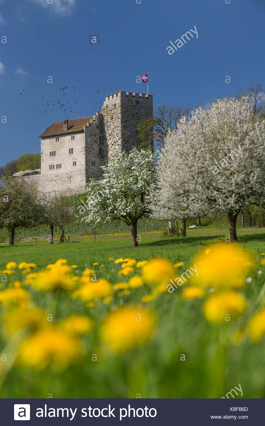 Habsburg Castle High Resolution Stock Photography and Images - Alamy